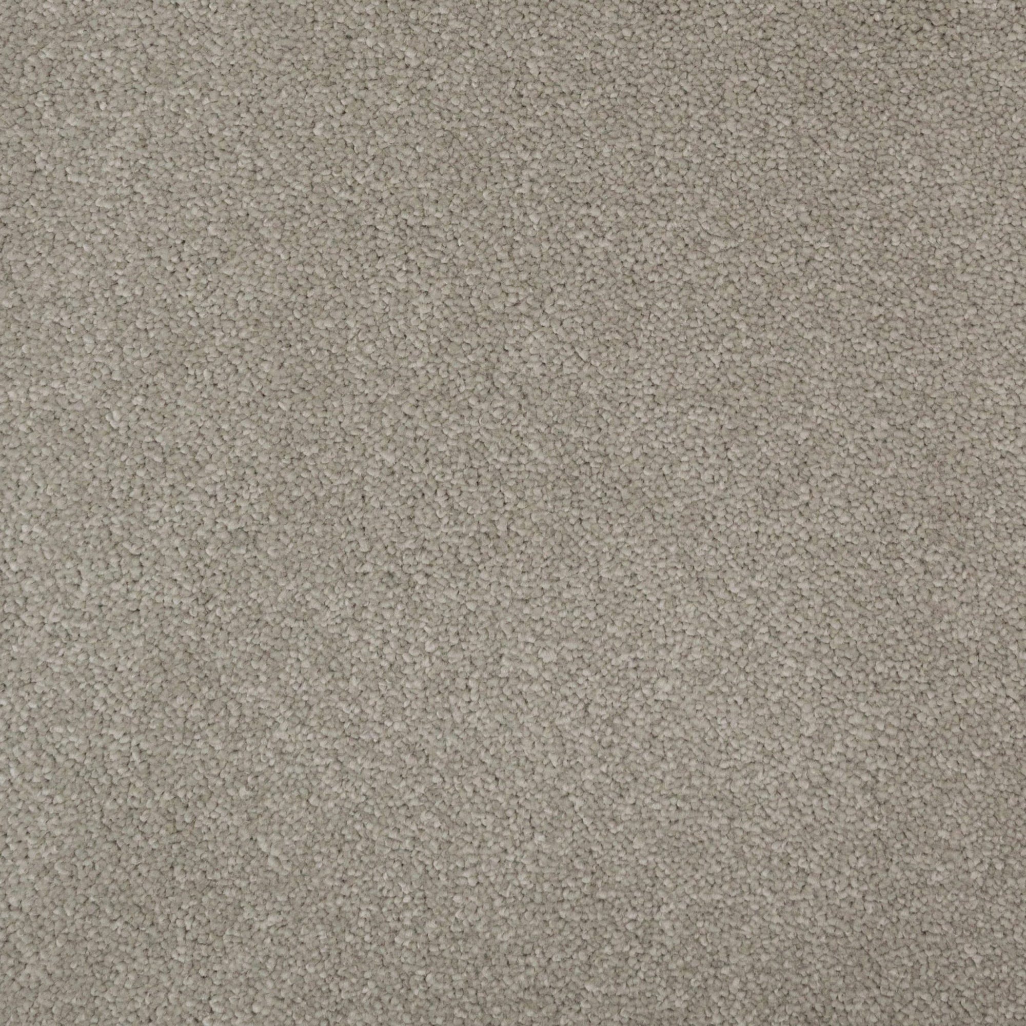 Amorosa: Harmony, 100% Polypropylene Twist Pile Carpet | Penthouse Carpets