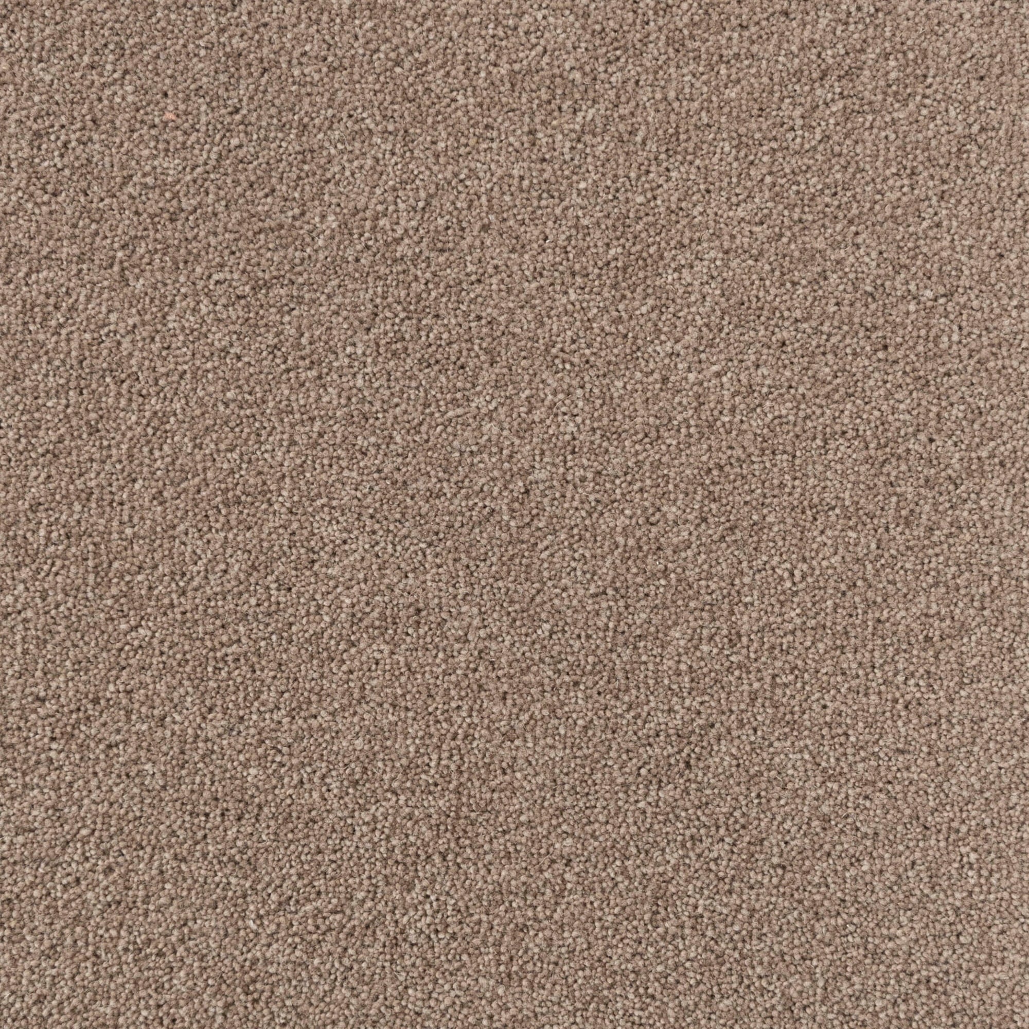 Wool Carpets | Colorado | Penthouse Carpets