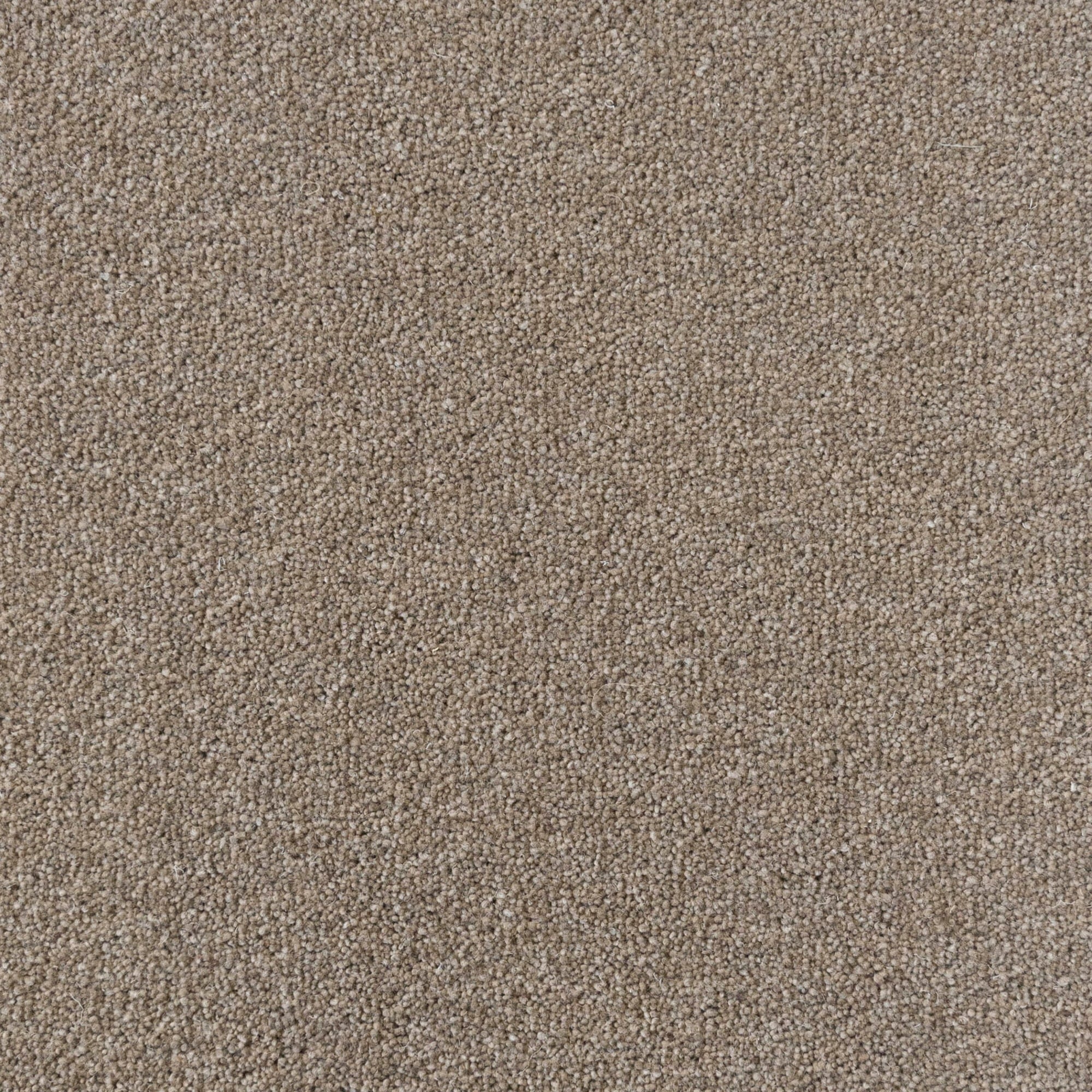 Wool Carpets | Colorado | Penthouse Carpets