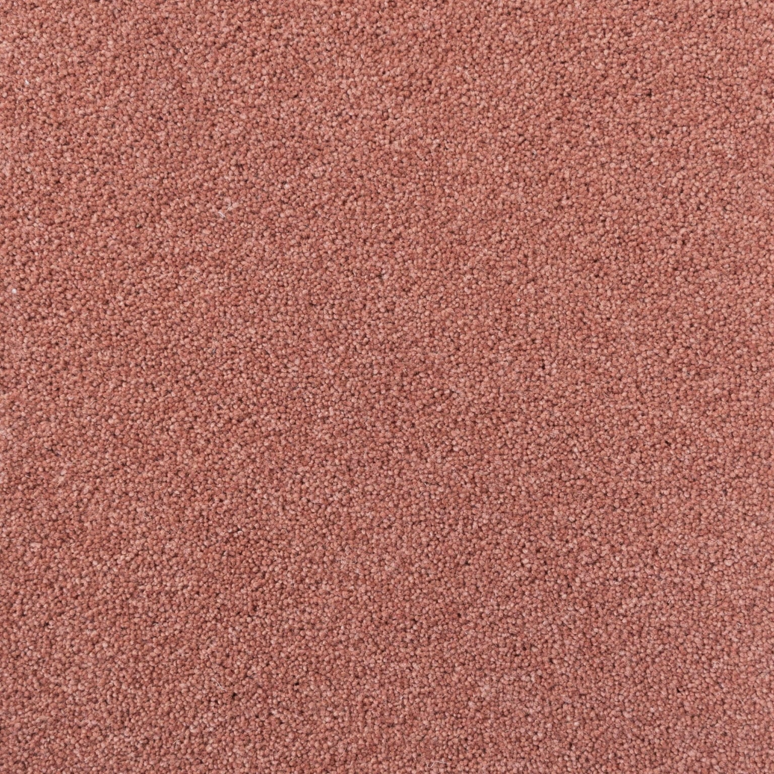 Wool Carpets | Colorado | Penthouse Carpets