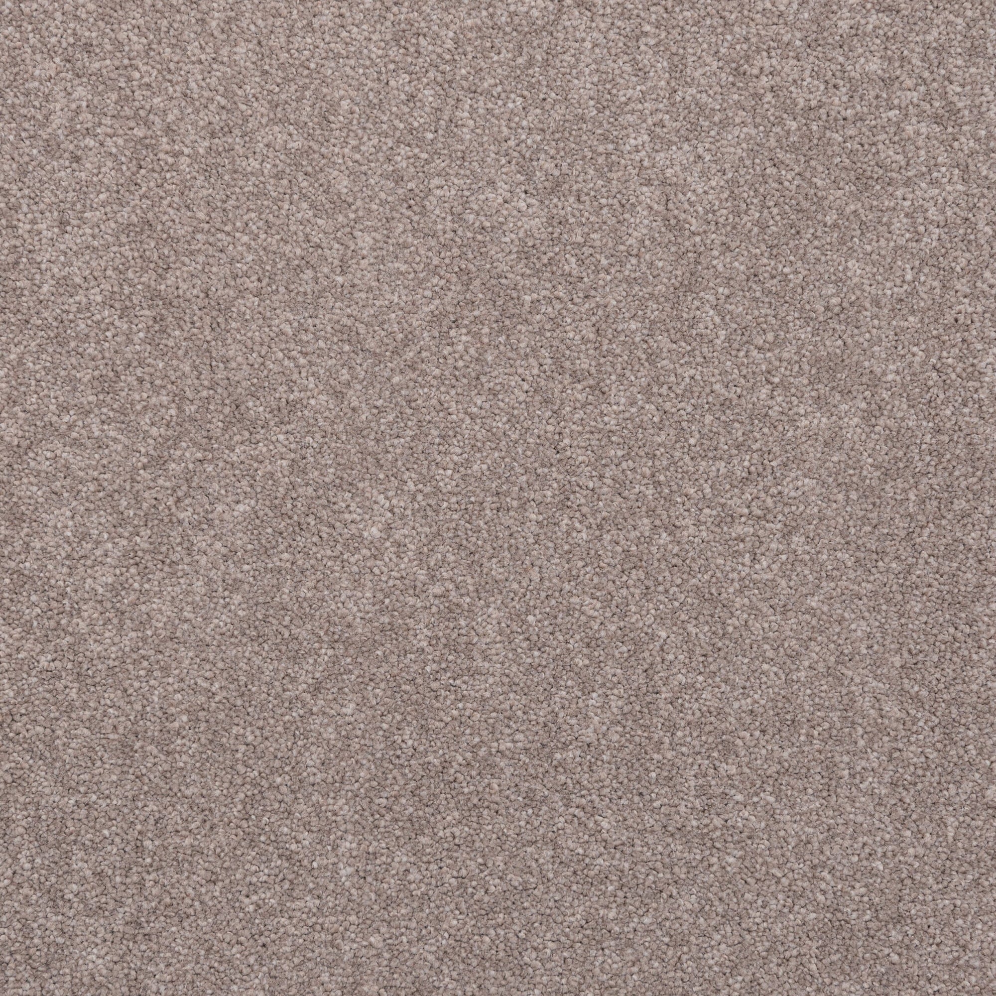 Lullaby: Snuggle, 100% Polypropylene Twist Pile Carpet | Penthouse Carpets