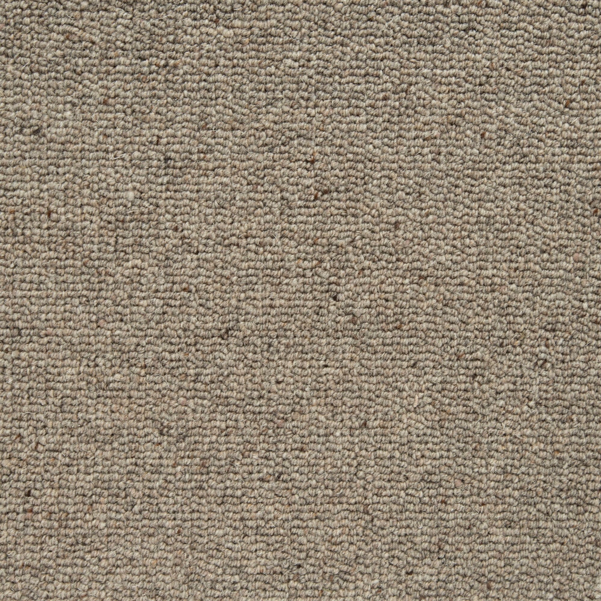 Croft Loop: Shearling Loop, 100% Pure Wool Twist Pile Carpet ...