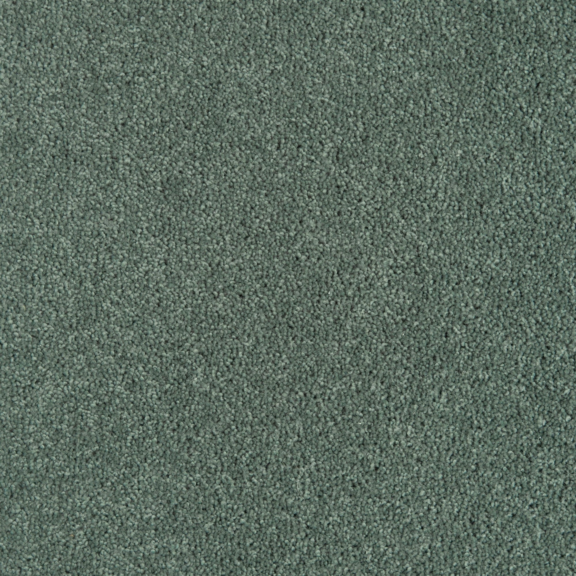 Wool Carpets | Wentworth | Penthouse Carpets