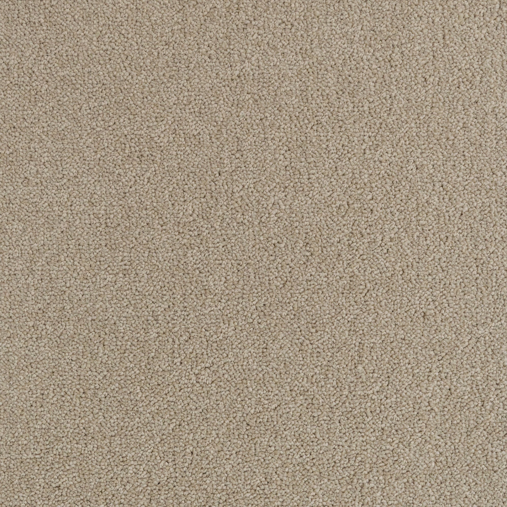 Performance: Flax, 100% Polypropylene Twist Pile Carpet | Penthouse Carpets