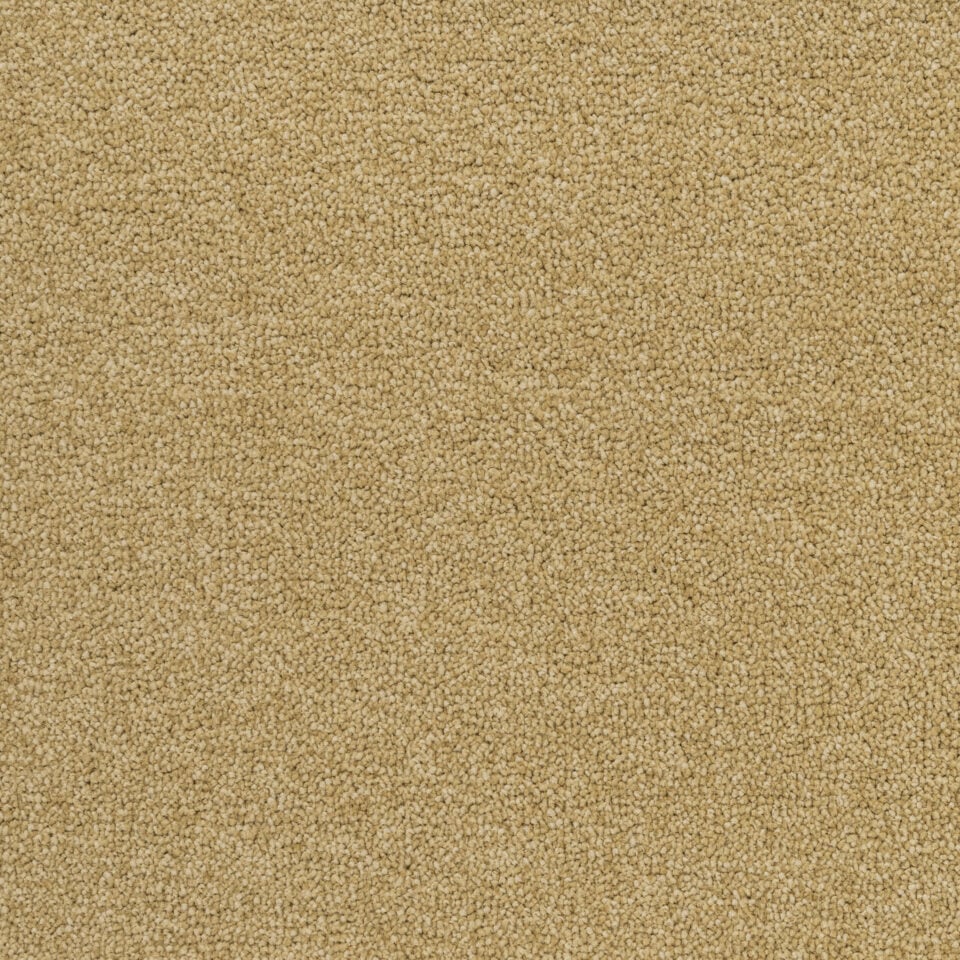 Performance: Cognac, 100% Polypropylene Twist Pile Carpet | Penthouse ...