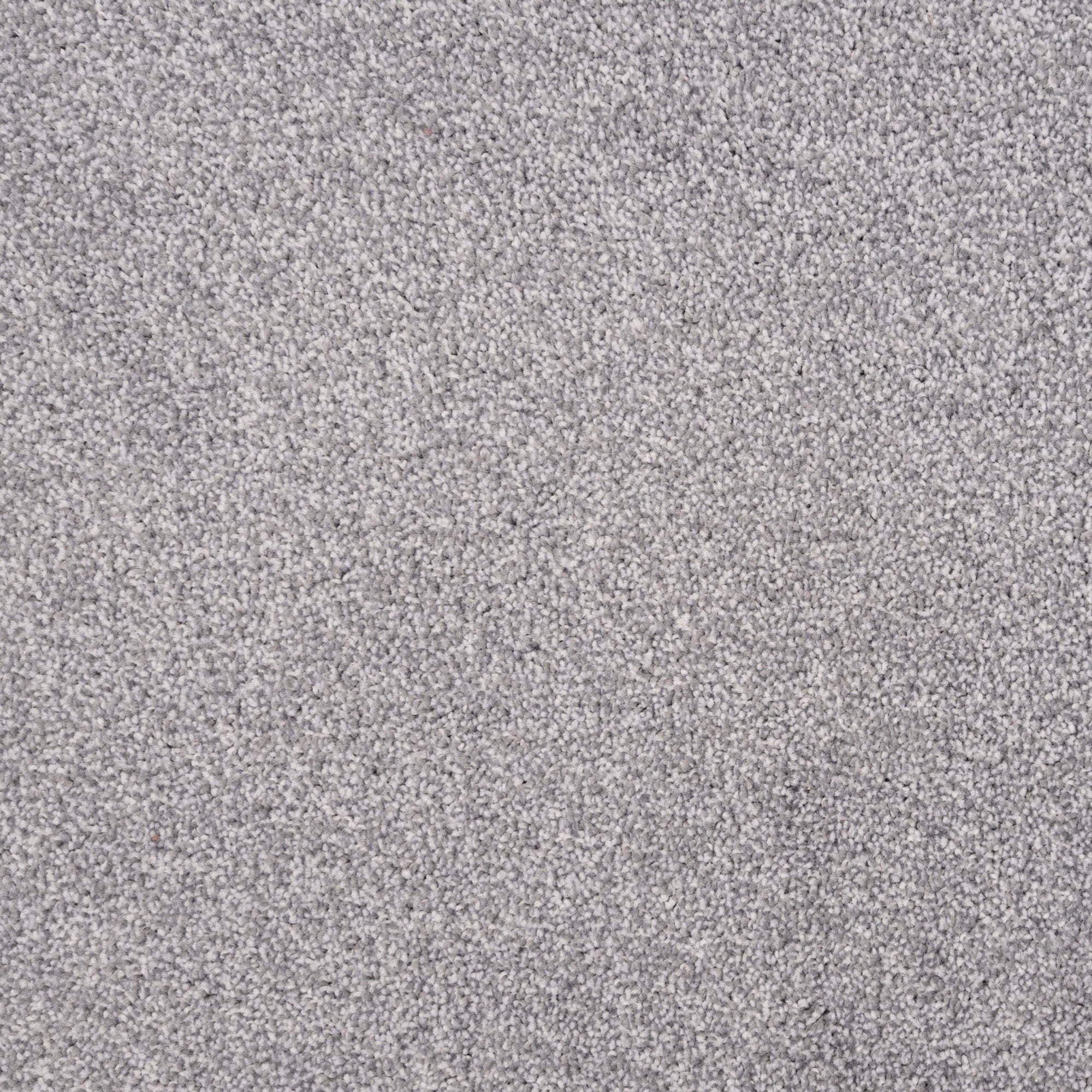 Performance: Titanium, 100% Polypropylene Twist Pile Carpet | Penthouse ...