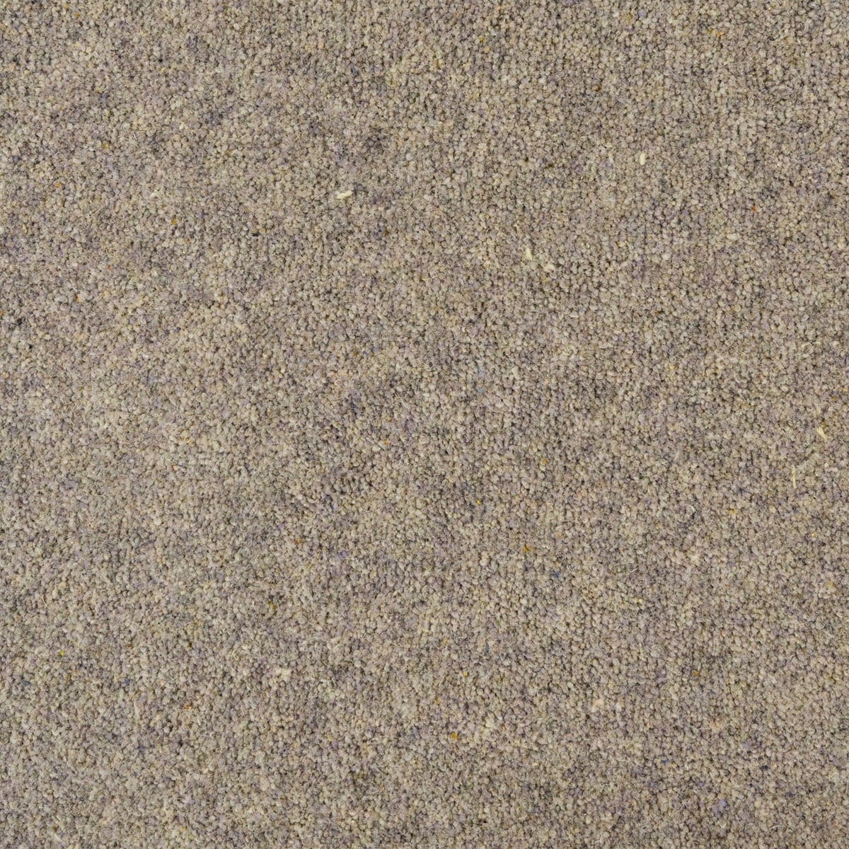 Wool Carpets | Seasons | Penthouse Carpets