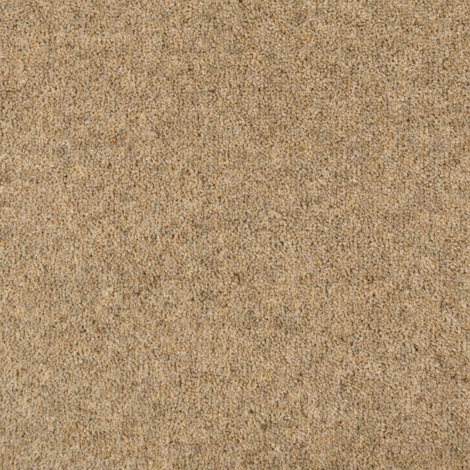 Seasons: Spring, Wool Rich Twist Pile Carpet | Penthouse Carpets