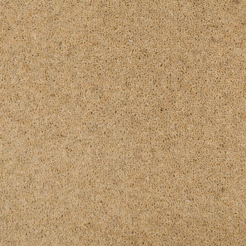 Seasons: Summer, Wool Rich Twist Pile Carpet | Penthouse Carpets