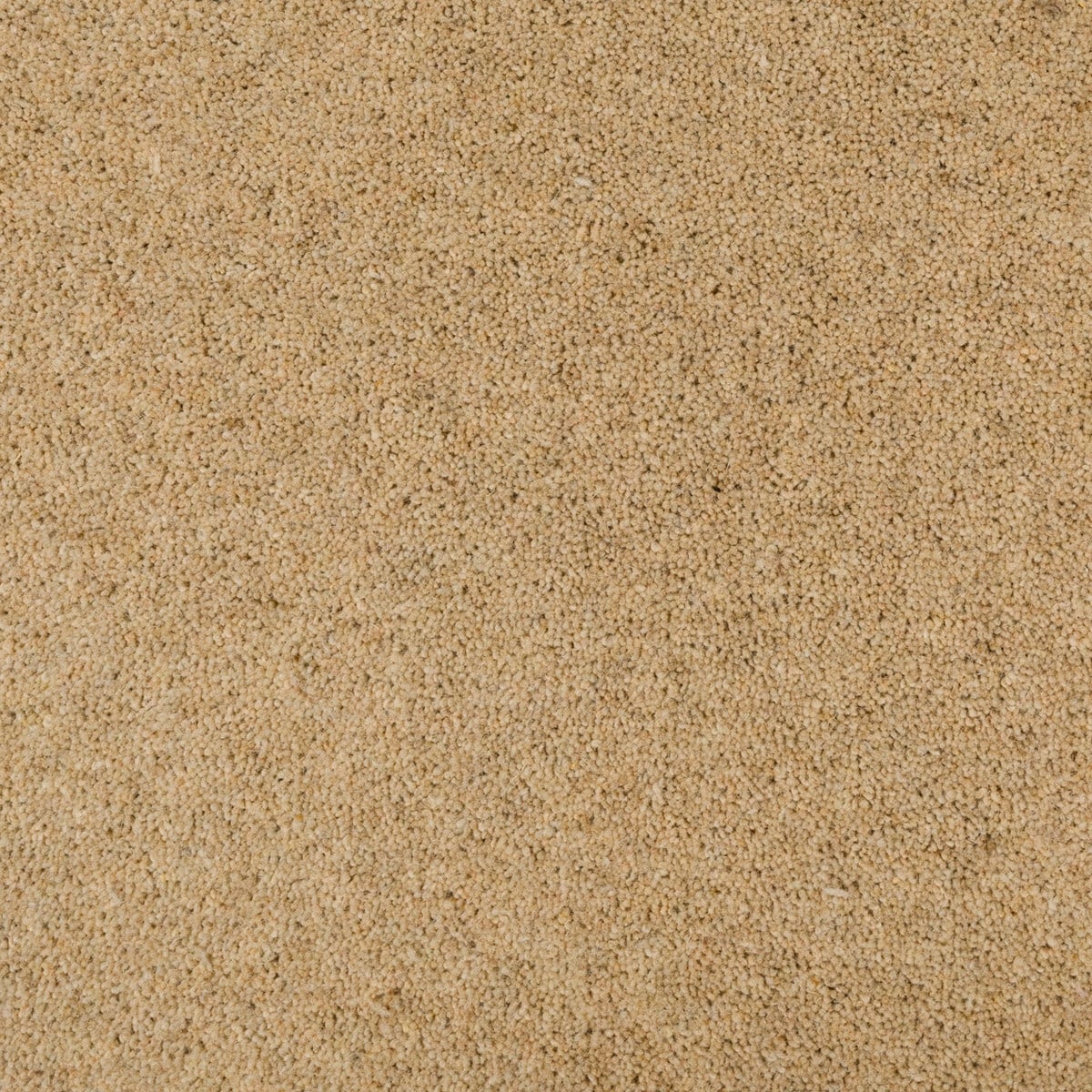 Wool Carpets | Seasons | Penthouse Carpets