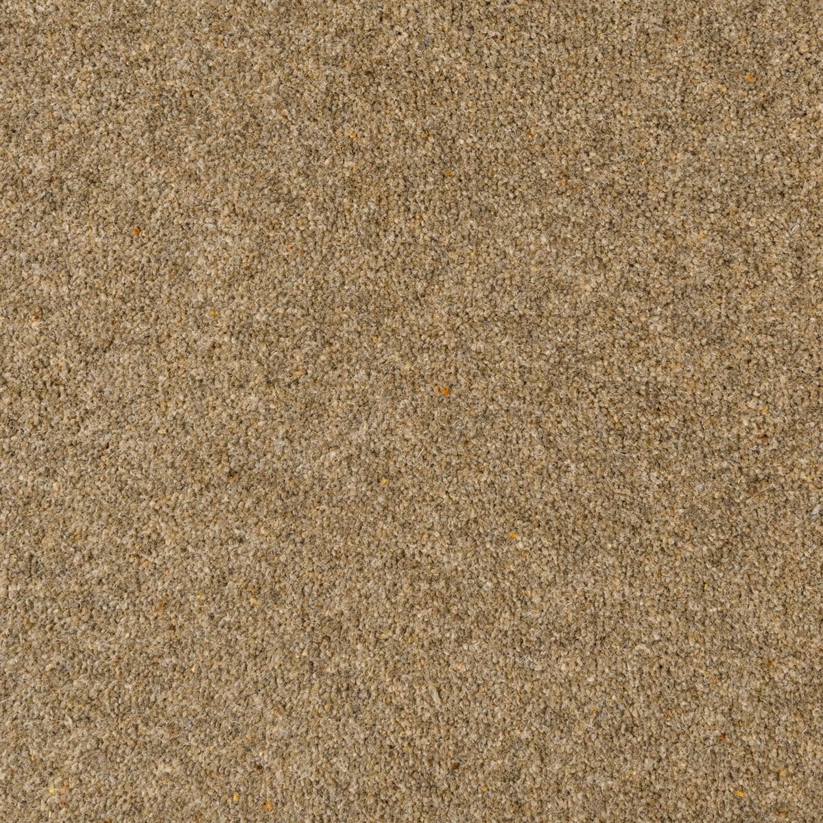 Wool Carpets | Seasons | Penthouse Carpets