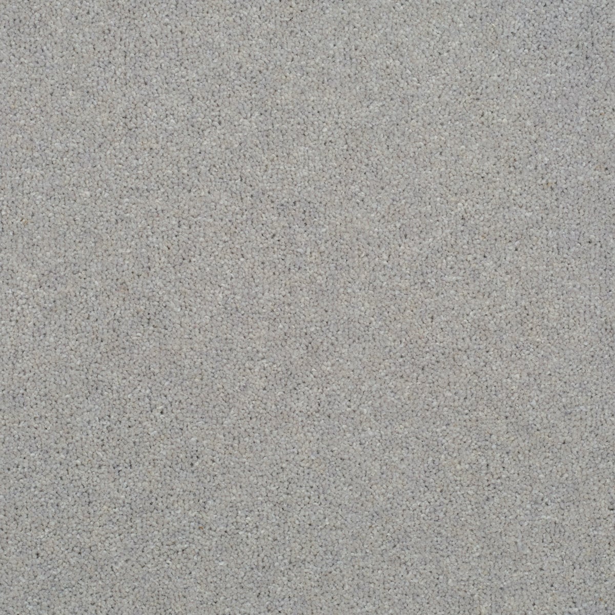 Stratford Venus | Penthouse Carpets